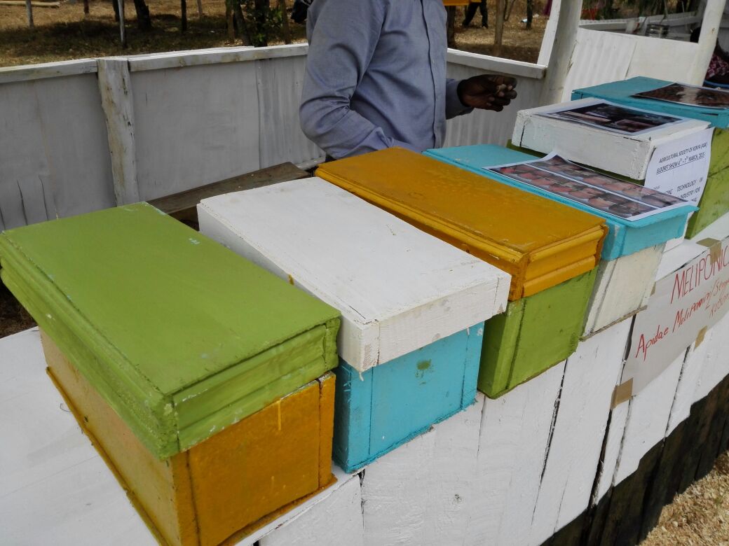 Sweet money from stingless Bees Honey