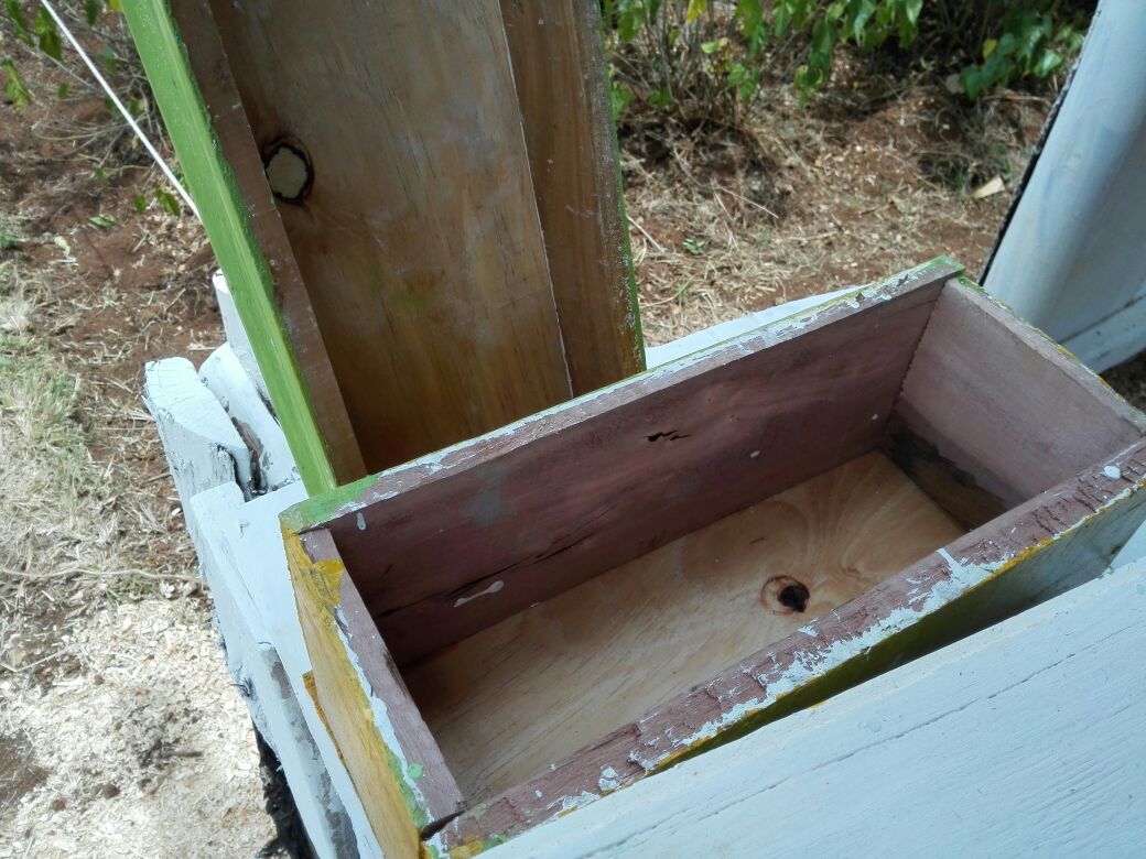 Sweet money from stingless Bees Honey